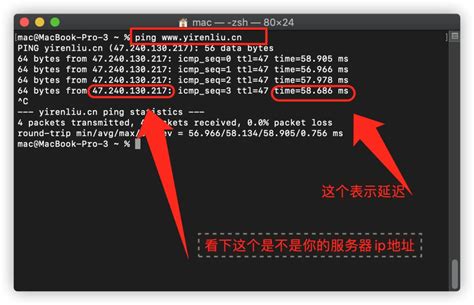 【服务器、域名购买】namesilo优惠码和域名解析教程（附带服务器购买推荐和注意事项） 爱玩实验室