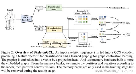 【论文总结】graph Contrastive Learning For Skeleton Based Action Recognition基于骨架动作识别的图对比学习