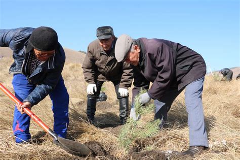 Мод тарих өдрөөр ахмадуудаа хүлээн авлаа МБОИЗ