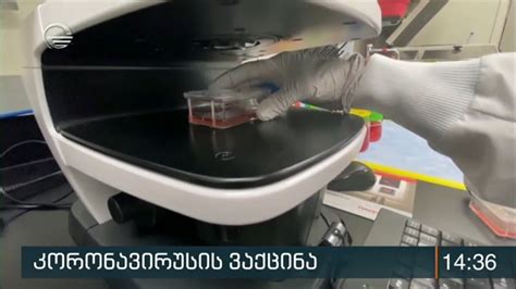 კორონავირუსის ვაქცინა Youtube