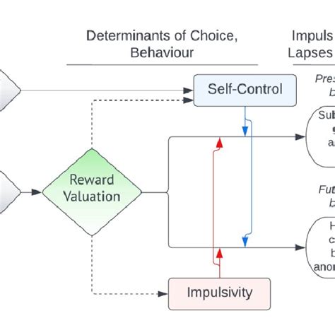 Sketch Of A Causal Model For The Influence Of Time Preferences On Download Scientific Diagram