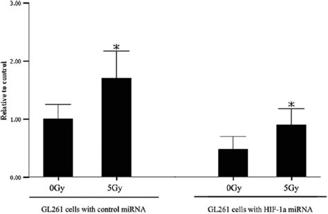 Real Time Quantitative Reverse Transcriptionpolymerase Chain Reaction Download Scientific