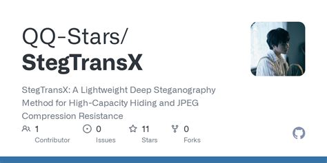 Stegtransxmutiltrain3py At Main · Qq Starsstegtransx · Github