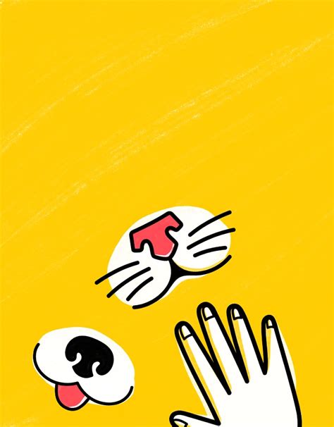 Chi Sono Le Mini Mucche E Perché Non Puoi Tenerle In Casa Anche Se