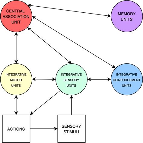 Associative Learning