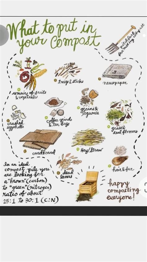 Basics Of Composting Artofit
