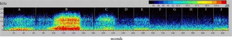 Spectrogram Of All The Played Back Vessel Noise Stimuli Frequency Download Scientific Diagram