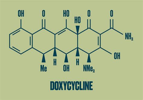 Doxycyclin Für Hunde Hund And Katze Doxycyclin Für Hunde Hund And Katze