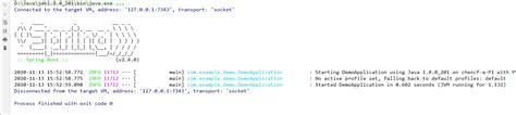 Springboot启动报错 Disconnected from the target VM 解决过程 ccf 博客园