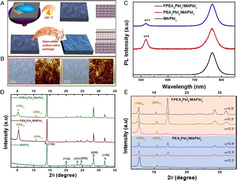 Halide Perovskite Dynamics At Work Large Cations At 2d On 3d