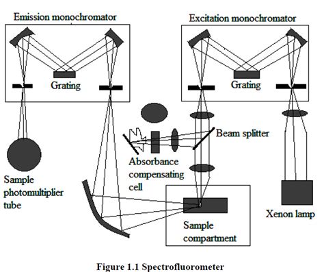 Fluorometer Schematic Diagram Fluorometer Diagram Schematic