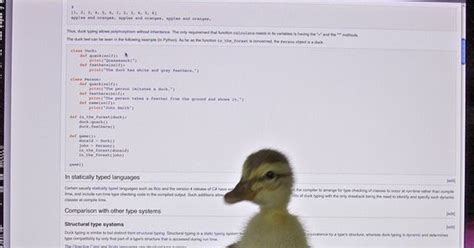 Duck Casting Framework Duck Typing