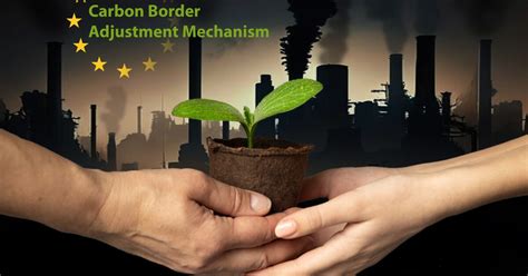 Guide To The Initial Phase Of The Cbam International Tax Review