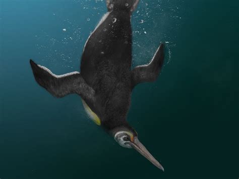 Prehistoric Penguins