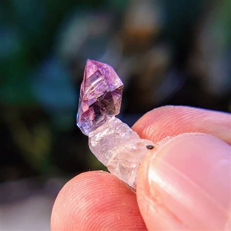 Tiny Amethyst Scepter From Madagascar Africa For Meditation 970ct