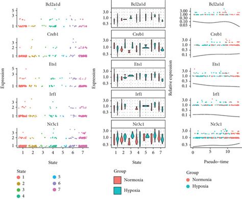 Pseudotemporal And Rna Velocity Analyses Of Microglia A Ddrtree Plot