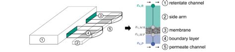 Schematic Visualization Of The Simplified MATLAB Model Employed To Download Scientific Diagram