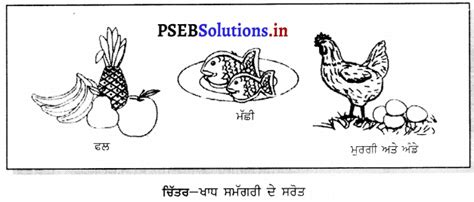 PSEB th Class Science Solutions Chapter ਭਜਨ ਇਹ ਕਥ ਆਉਦ ਹ PSEB Solutions