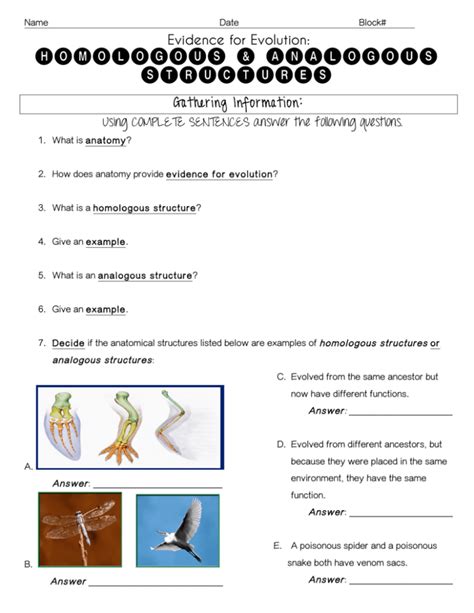 Homologous And Analogous Structures Evidence For Evolution