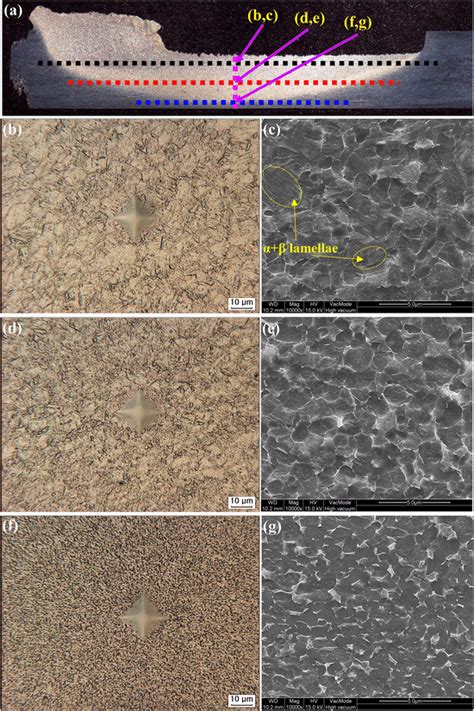 Microstructure Of Various Regions Of Stir Zone Of Friction Stir Welded