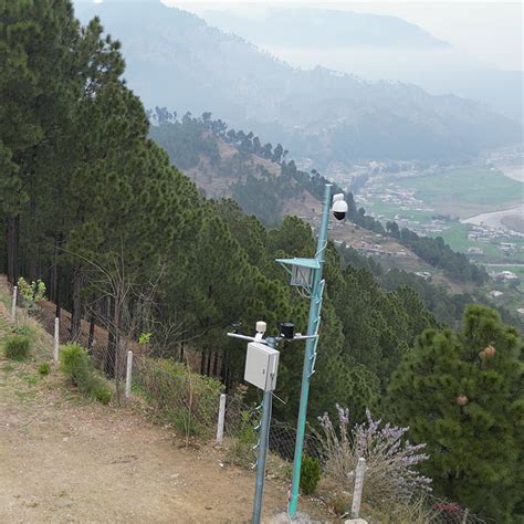 Embracing Iot And Ai For Forest Protection Lessons Learned And The Path Forward For The Forest