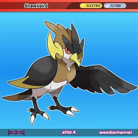 Élite4 On Instagram Sparkowl Is Evolving Meet Shawkbird The Bolt