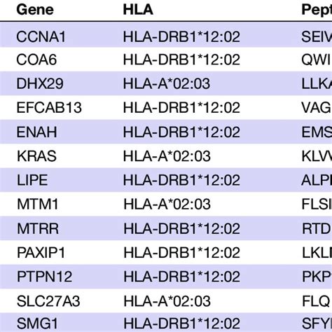 Personalized Neoantigen Peptides And Predicted Hla Binding In The