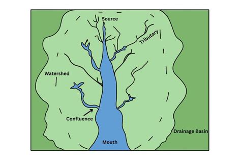 Gcse Geography The Drainage Basin The Geo Room
