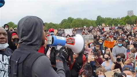 ამერიკელი ბასიანელები Coub