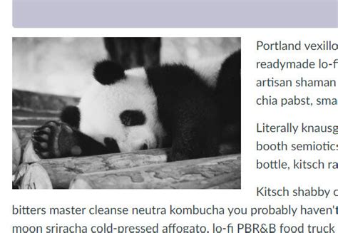 Understand Margins Paddings And Borders How To Canvas