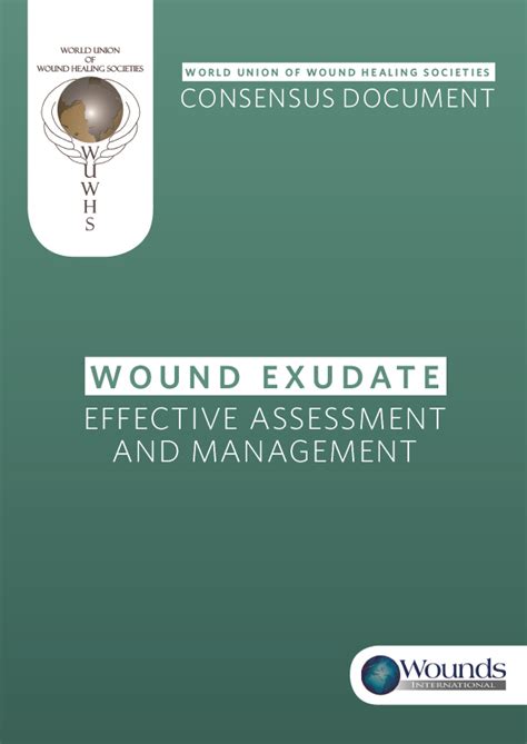 Wuwhs Consensus Document Wound Exudate Effective Assessment And