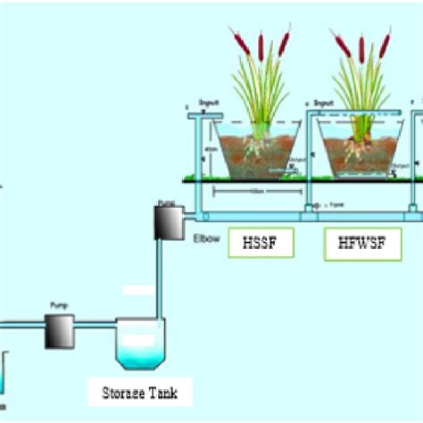 Lab Scale Constructed Plastic Wetland Cells Download Scientific Diagram