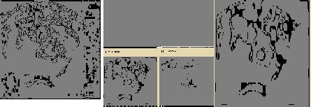 A Result After Segmentation Using Fuzzy C Means Technique Classes Download Scientific
