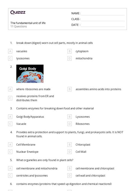 50 fundamentals and building blocks worksheets on quizizz free