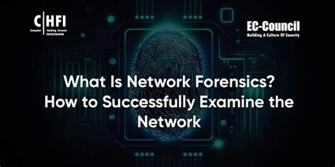 What Is Network Forensics And How To Examine A Network Successfully
