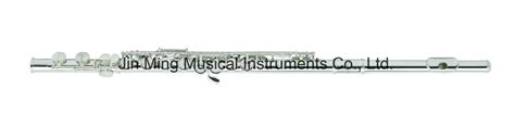 Imported Nickel Silver Flute B C Foot Professional Flute Flute And