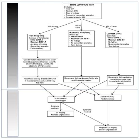 Fetal Left Thoracotomy And Lobectomy For A Congenital Pulmonary Airway