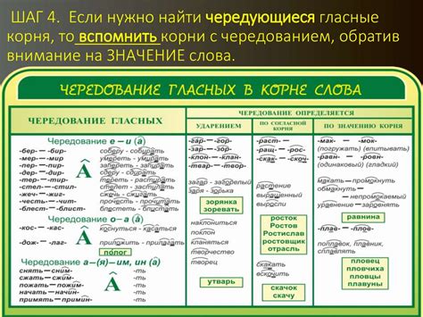 Задание 9 ЕГЭ 2020 по русскому языку презентация онлайн