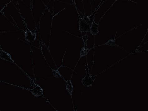 Procedural Shader General Houdini Questions Odforum