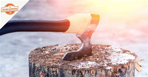 Best Survival Axe Picks For Emergency Preparedness Telson Survival