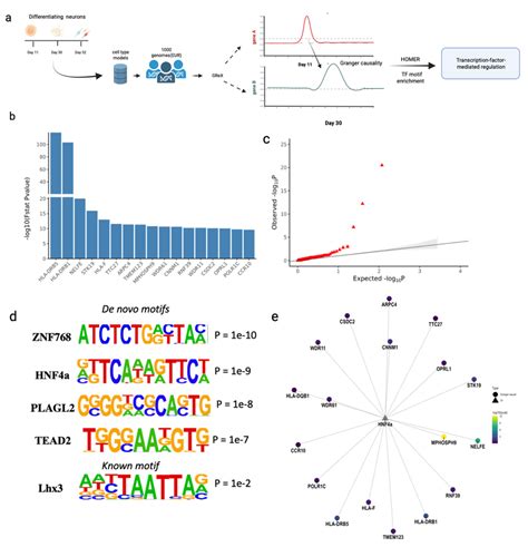 Identifying Regulatory Networks Using Granger Causality Inference On Download Scientific