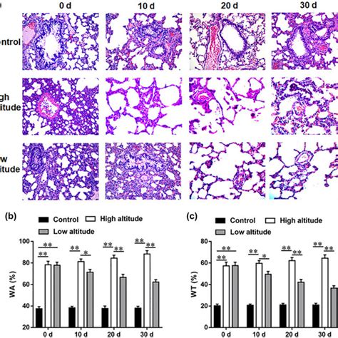 The MPAP And RVSP Of Rats In Each Group After PAH Modeling Of Download Scientific