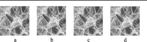 Figure 3 From Classification Of Textures Using Filter Based Local Feature Extraction Semantic