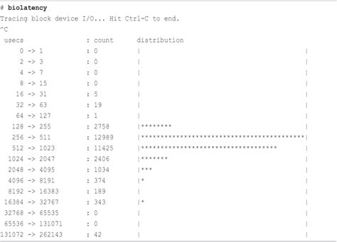Code Snippets Bpf Performance Tools Book