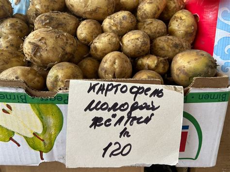 Цена Картофеля За Кг В Магазинах — Xxx