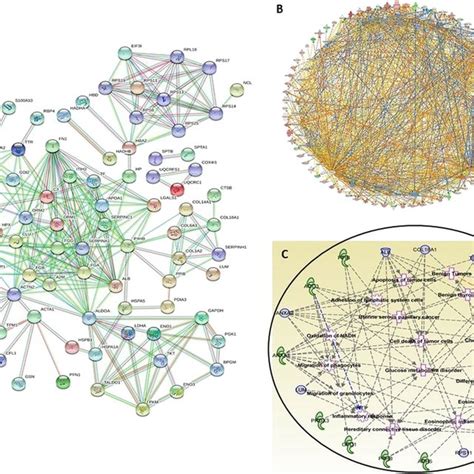 Functional Enrichment Analysis Of Identified Proteins From Comparative