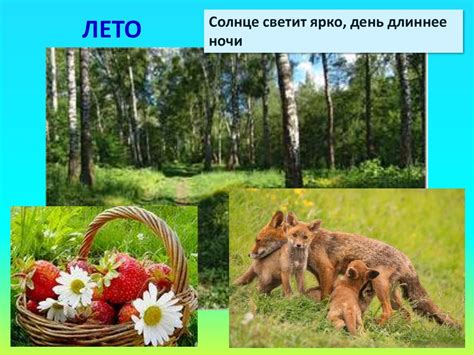 Сезонные изменения в жизни организмов 5 класс презентация онлайн