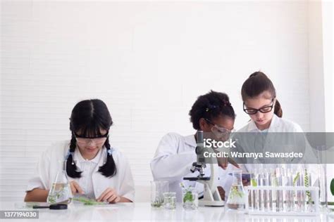 실험실에서 유리 제품으로 학습 및 분석 또는 세균을 학습 하 고 분석 하는 어린이 과학자 그룹 어린이와 과학 아이들은 과학 실험을합니다 10 11세에 대한 스톡 사진 및