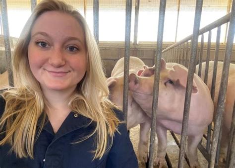 Tail Biting How Can Computer Vision Technology Identify Future