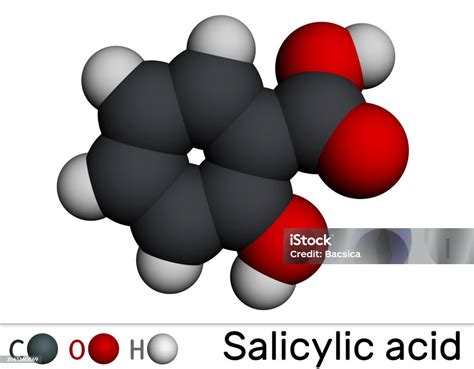 살리실산 분자 의약품 생산 화장품에 사용됩니다 분자 모델 3d 렌더링 살리실산에 대한 스톡 사진 및 기타 이미지 살리실산 화학 공식 3차원 형태 Istock